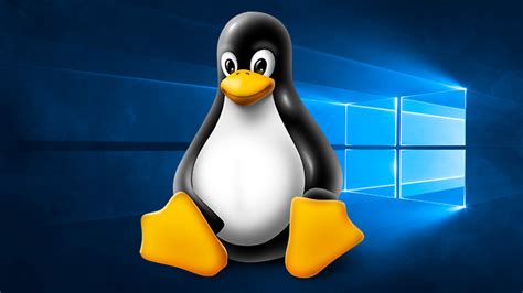 Recent Patch Tuesday Updates Break Wsl 2 The Redmond Cloud