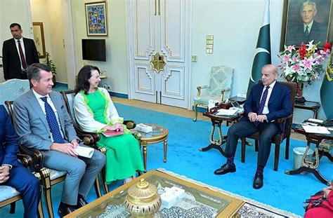 Meta Delegation Meets Pm Shehbaz Sharif To Boost Pakistans Digital