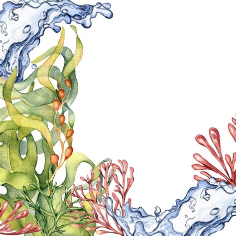 Premium Photo Frame Of Colorful Sea Plants Watercolor Illustration