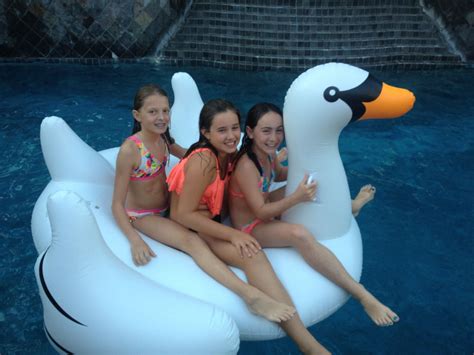 Swan Float Giant Inflatable Swan Swan Float Inflatable Swan
