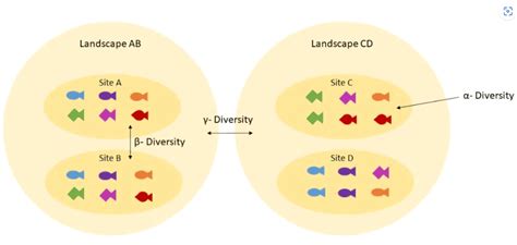 Hands On Calculating α And β Diversity From Microbiome Taxonomic Data Calculating α And β