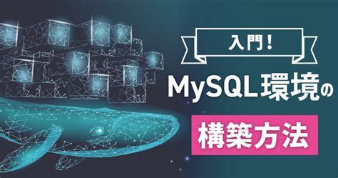 mysql カゴヤのサーバー研究室