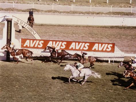 Th Running Of The Hill Stakes Iconic Winners Australian Turf Club