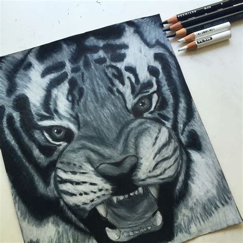 How To Draw A Realistic Tiger Marker Coloured Pencil