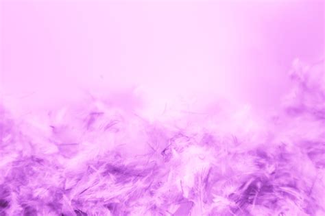 어둠 배경과 다채로운 부드러운 흰색 핑크 깃털 초상화 프레임 질감에 아름다운 추상 적 파란색과 보라색 깃털 프레임 공작새에 대한 스톡 사진 및 기타 이미지 Istock