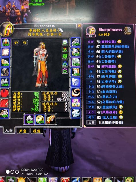魔兽世界怀旧服：防骑20分钟厄运西，20分钟完美贡品攻略boss