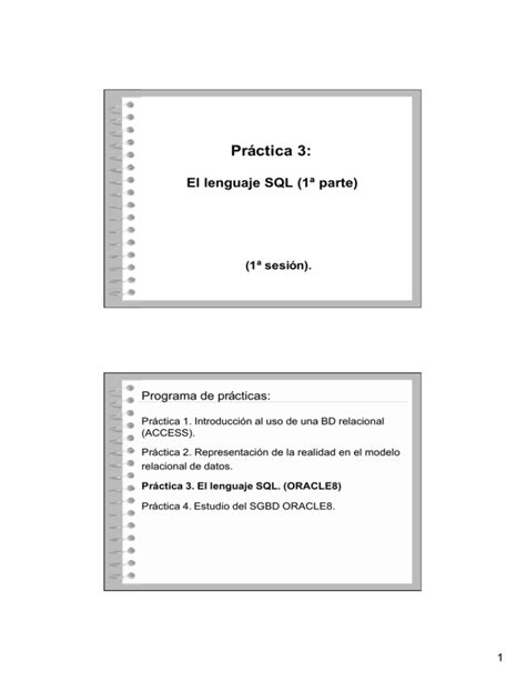 El Lenguaje Sql
