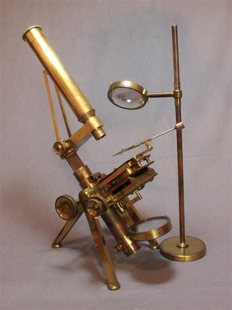 Powell And Lealand Original Model For The No 1 Microscope Stage Forceps