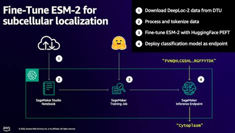 Efficiently Fine Tune The Esm 2 Protein Language Model With Amazon