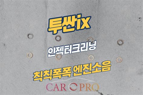 투싼ix 칙칙폭폭 엔진소음 인젝터 동와샤터짐 인젝터 크리닝 정비 정비갤러리 카프로샵