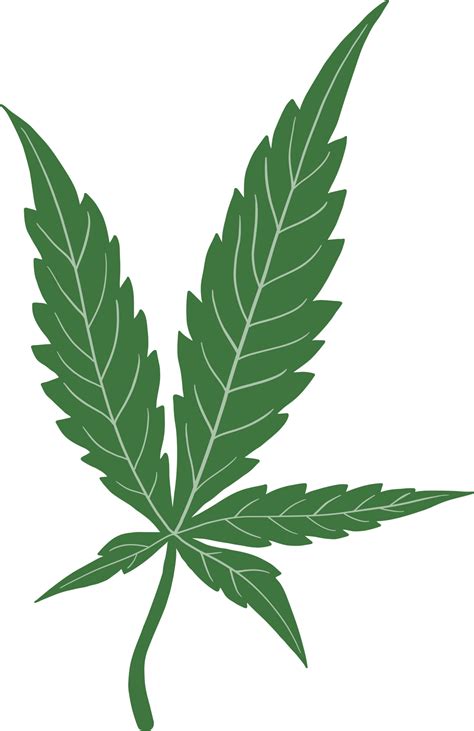 Simplicity Cannabis Leaf Freehand Drawing 30933649 Png