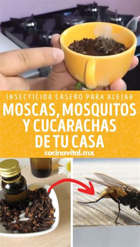 Insecticida Casero Para Alejar Moscas Mosquitos Y Cucarachas De Tu Casa Remedios Caseros Para
