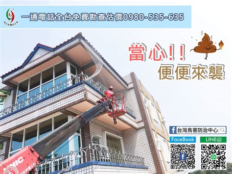 台灣鴿害防治促進會 總是有鳥類🐦🐦在住家外聚集嗎 每次都留下一地的糞便💩💩要清理嗎