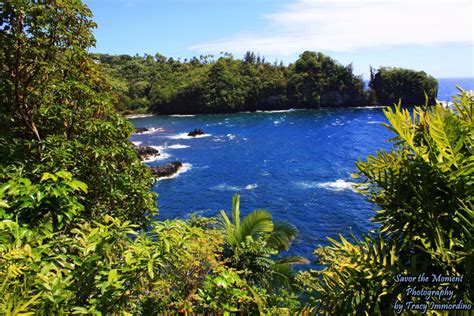 Onomea Bay Savor The Moment Photography
