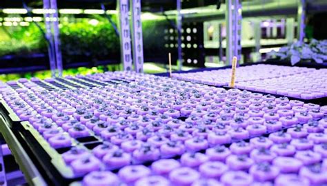 Whats The Difference Between A Controlled Environment And A Cleanroom