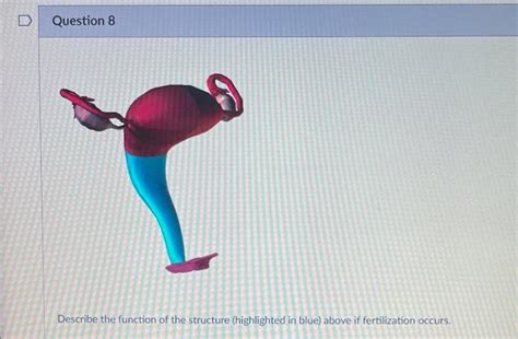 solved question 8 describe the function of the structure