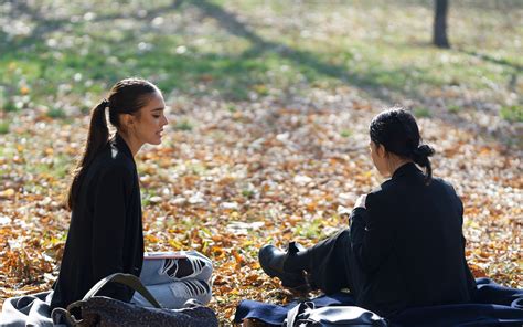 80000 Free Autumn Picnic And Picnic Images Pixabay