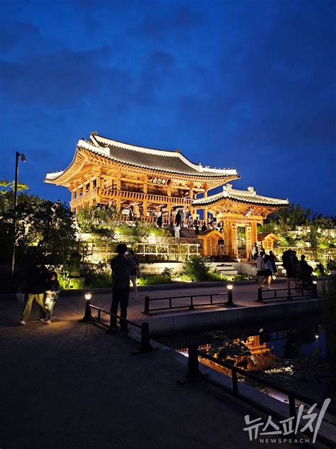 밤의 낭만과 수려함을 맛보다 세종수목원 야간개장 특별한 夜행