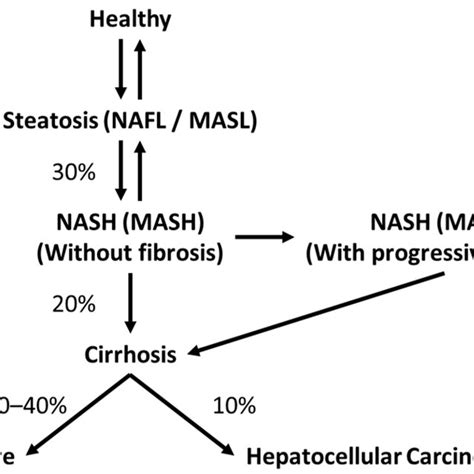Nafld Progression Damage From Liver Steatosis Nash And Early Fibrosis