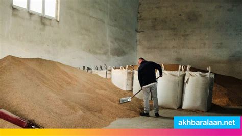 بولندا ترفع جزئيًا حظرها على واردات الحبوب الأوكرانية