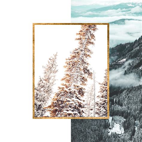 Snow Covered Trees Customizable Template Shutterstock