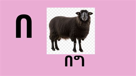 በ ፊደልን በመዝሙር እንማር Youtube