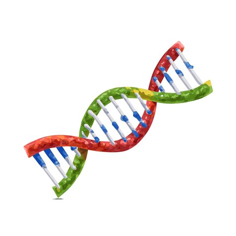 Premium Vector Genetic Marvel Dna Vector Artwork