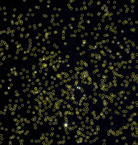 c how to recognize the stars in the photo of the night sky using