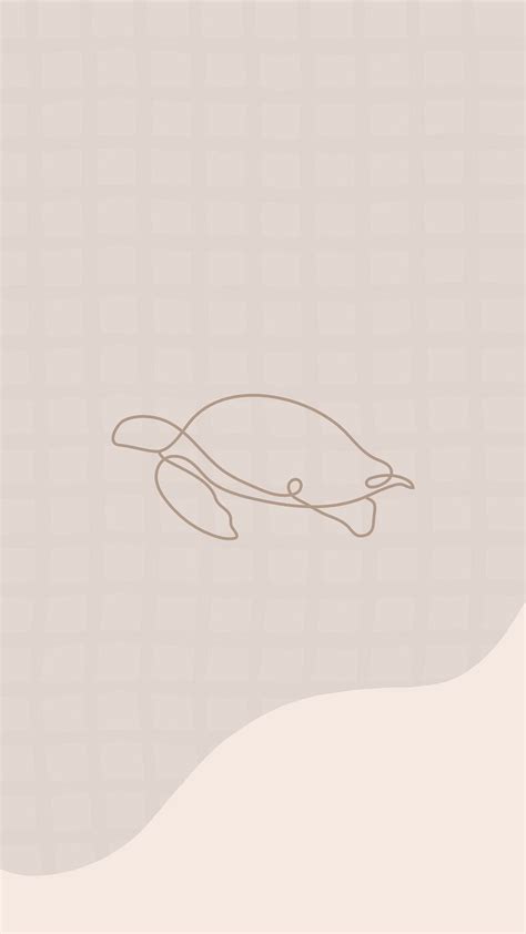 Cute Turtle Wallpaper Background Images Free Photos Png Stickers