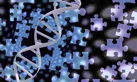 Rare Diseases Long Read Sequencing Project