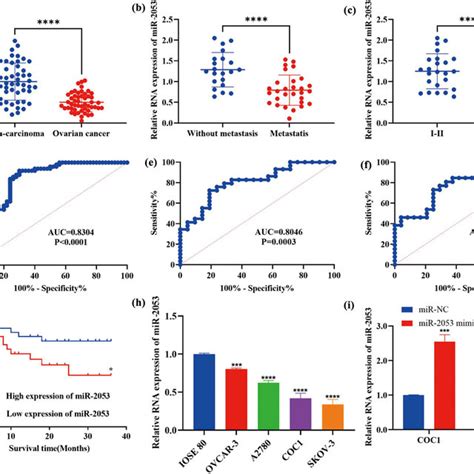 Downregulation Of Mir 2053 Was Detected In Ovarian Cancer Tissues A