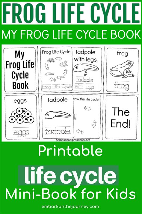 Free Printable Frog Life Cycle Mini Book Atelier Yuwaciaojp