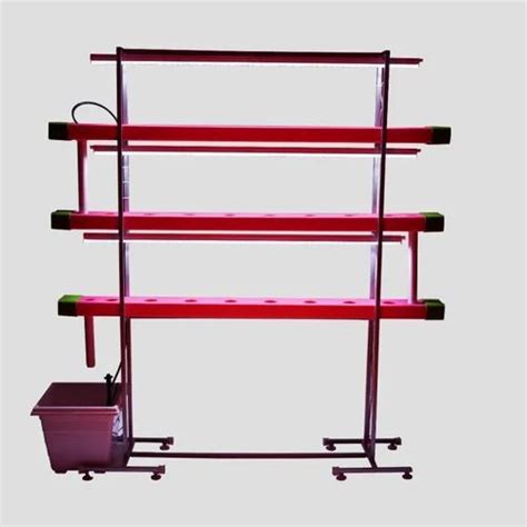 24 Plants Indoor Hydroponic System At Best Price In New Delhi By