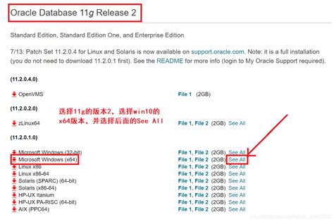 Oracle11g下载与安装图文教程（win10）oracle11gwindows下载 Csdn博客