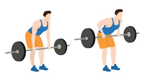Bent Over Row Exercise Guide 6 Variations Gym Geek