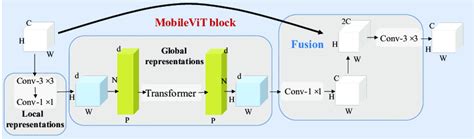 Structure Of The Mobilevit Block Download Scientific Diagram