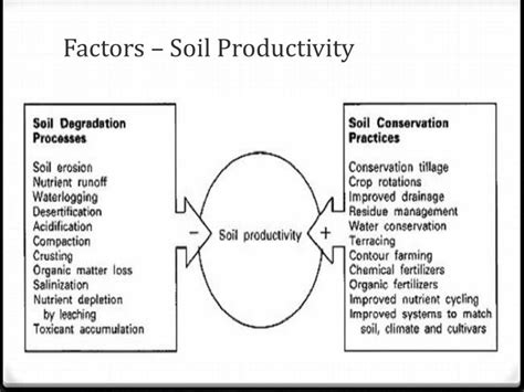 Soil Resources PowerPoint Slides LearnPick India