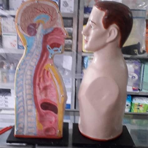 Jual Phantom Ngt Alat Peraga Manekin Model Ngt Shopee Indonesia