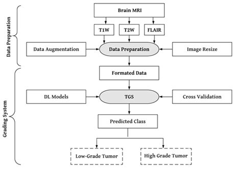 A Global Picture Of Brain Tumor Grading System T1w T1 Weighted T2w Download Scientific