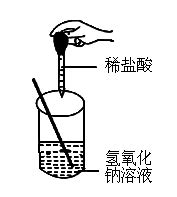 如图所示小婧同学在进行酸碱中和反应时向烧杯中的氢氧化钠溶液滴加稀盐酸一会儿后发现忘记了滴加指示剂．为了确定盐酸与氢氧化钠是否恰好完全反应