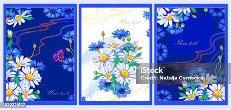 아름다운 데이지와 수레 국화로 장식 된 인사말 카드 세트입니다 프로젝트에 대한 레이아웃이 준비되었습니다 티셔츠 패브릭 엽서 포스터 벽지 스티커 배지의 꽃 모티브 벡터 그리기