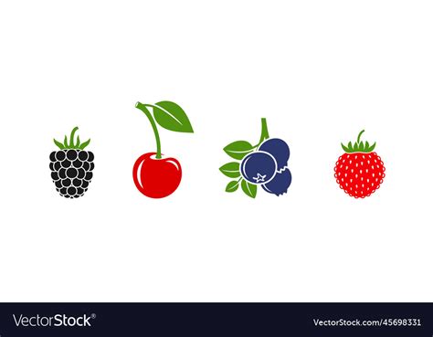 Berry Royalty Free Vector Image Vectorstock