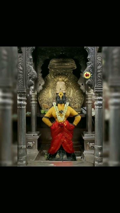 🛕🛕🛕🛕🛕🛕🛕श्री विठ्ठल व रुक्मिणीमाता दर्शन शुक्रवार दि १२ मे २०२३🌸 चंदन