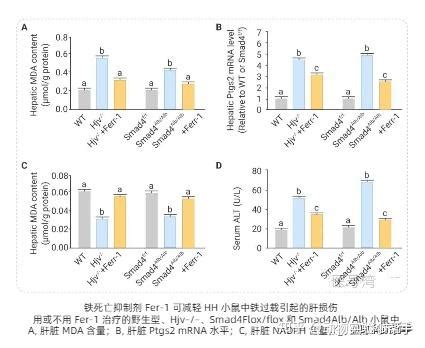 实验技巧 收藏铁死亡检测的关键指标助力发表SCI文章 知乎