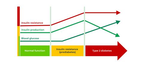 Navigating Hba1c With Inisdetracker