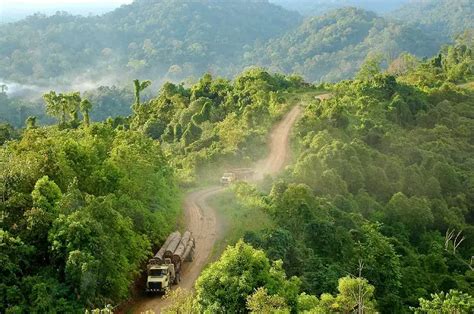 Pentingnya Hilirisasi Sumber Daya Alam Sda Untuk Indonesia Maju