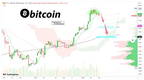 Bitcoin Meltdown Imminent Expert Warns Start Of Btc Crash Next Week