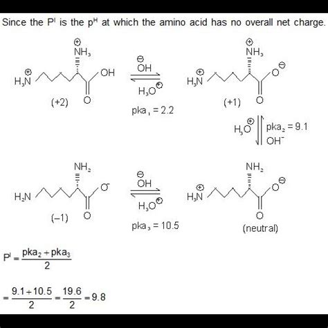 Based On The Information Given Below The Isoelectric Point Pi Of