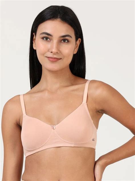 Lycra Cotton T Shirt Ame B5003 Size 32b 40c Plain At Rs 300piece In