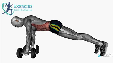 Watch The Video To See How To Do Dumbbell Plank To Alternating Row Exercises 👉 Exercisenow